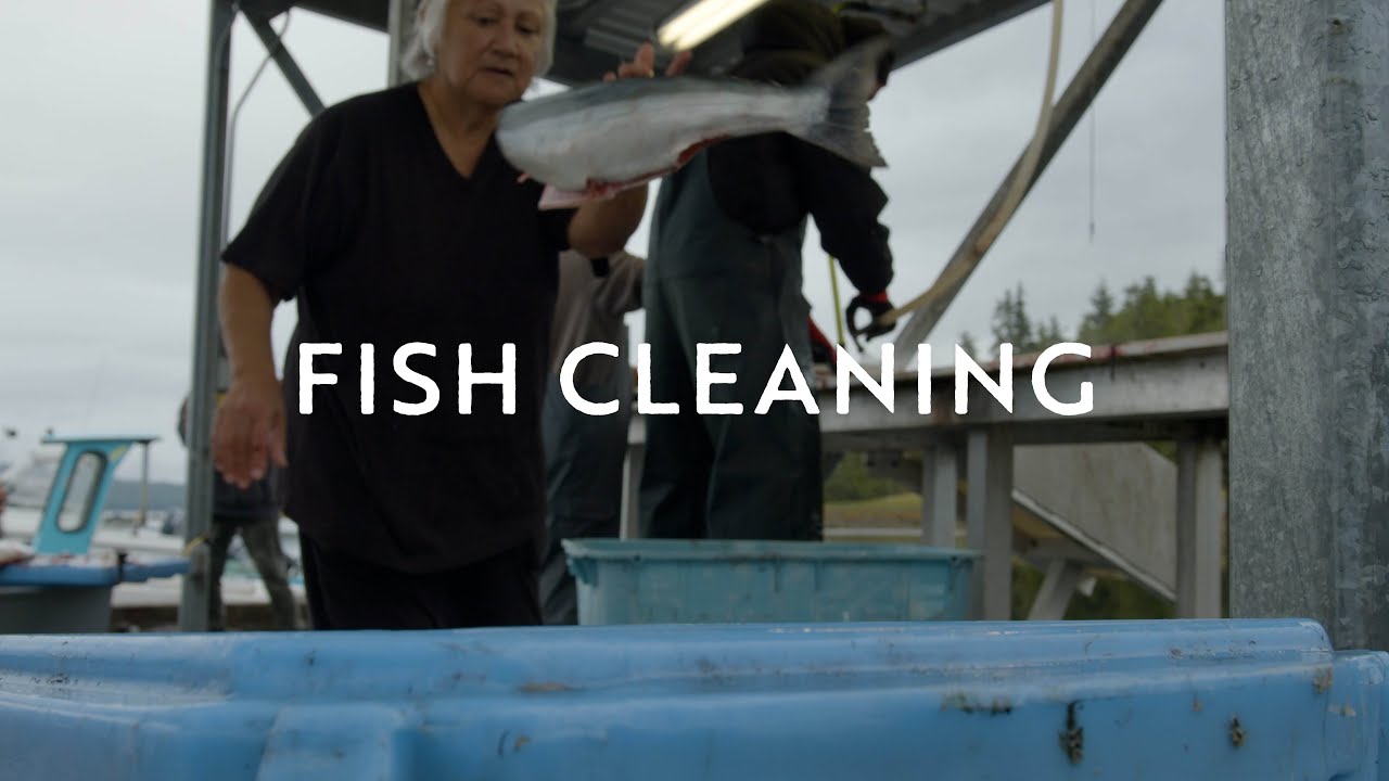 Fishing by Beach Seining | Tlingit & Haida Harvest “Catching& Cleaning ...