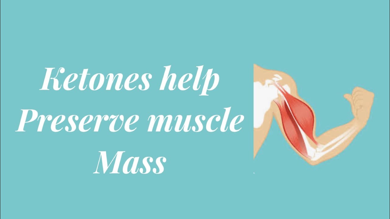 Ketones & Muscle Mass - YouTube