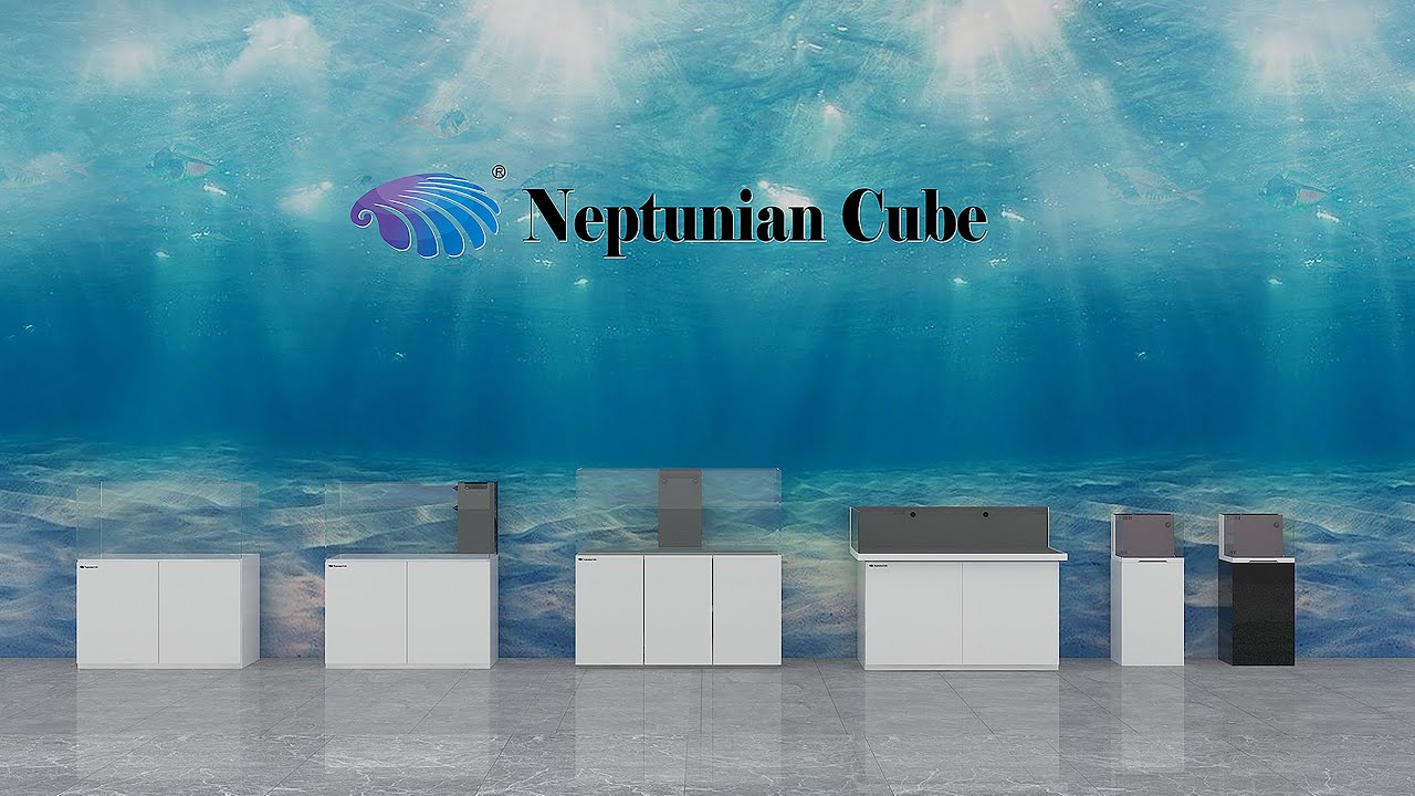 Neptunian Cube Magic Series Reef Tank - YouTube