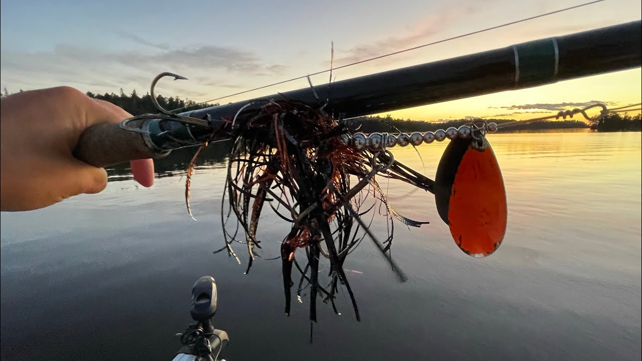 7 MUSKY BITES-EPIC Musky Fishing LOTW - YouTube