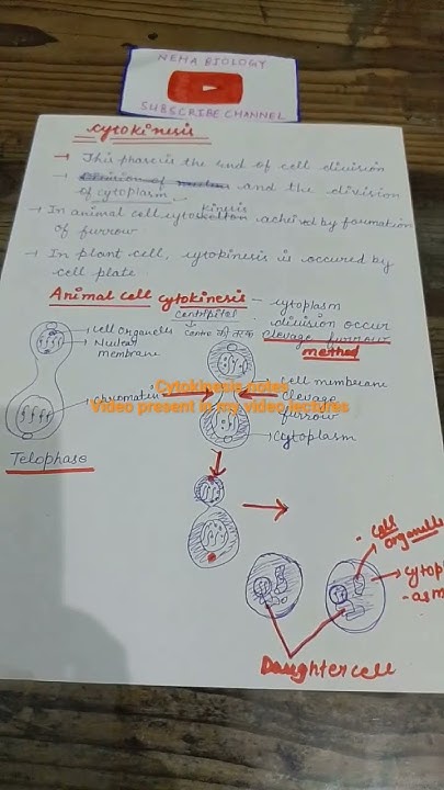 cytokinesis notes #cell cycle and cell division #shortvideo - YouTube