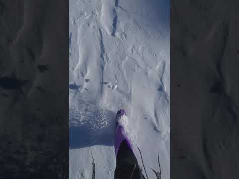 Lerik rayon Rəzgöv kəndi. 12.25.2018