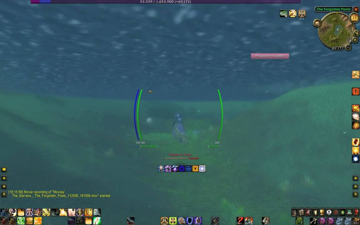Swimming raptor - YouTube
