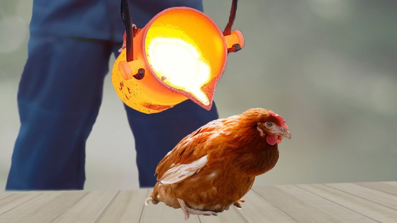 Experiment Lava Vs Chicken Youtube