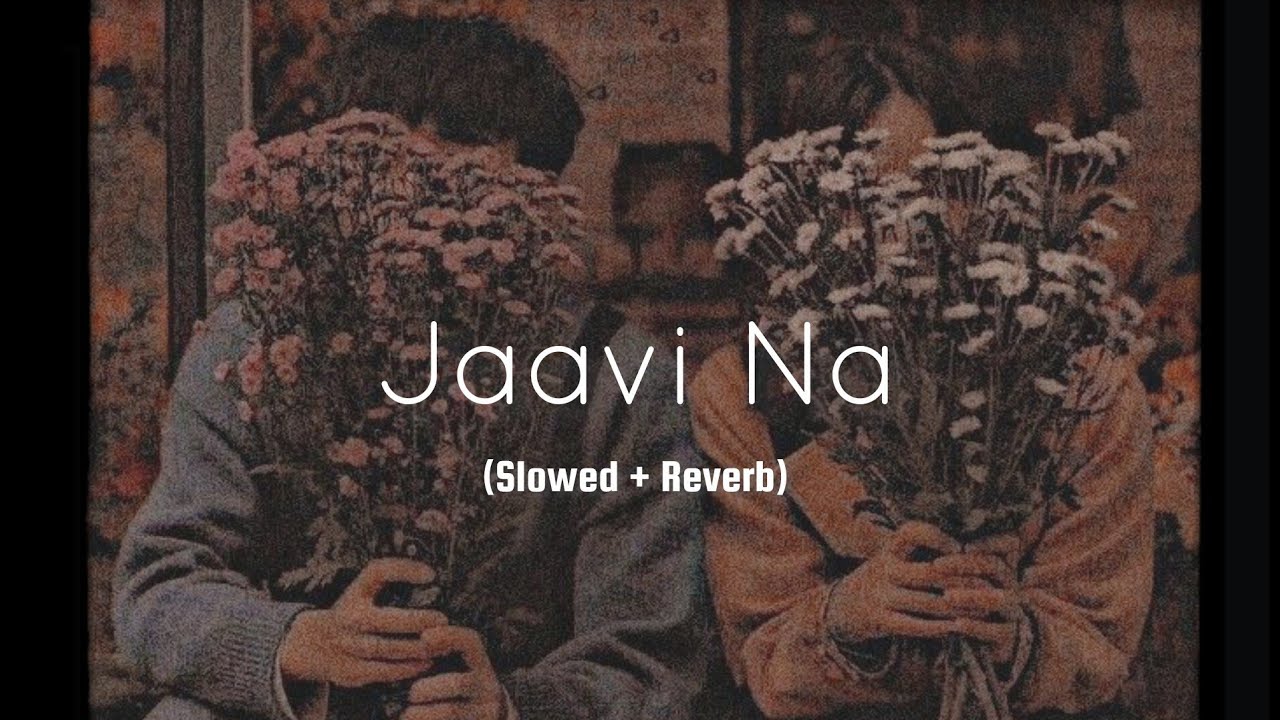 Jaavi Na | Slowed and Reverb | Darshan Raval | Ishq Vishk Rebound ️ ...