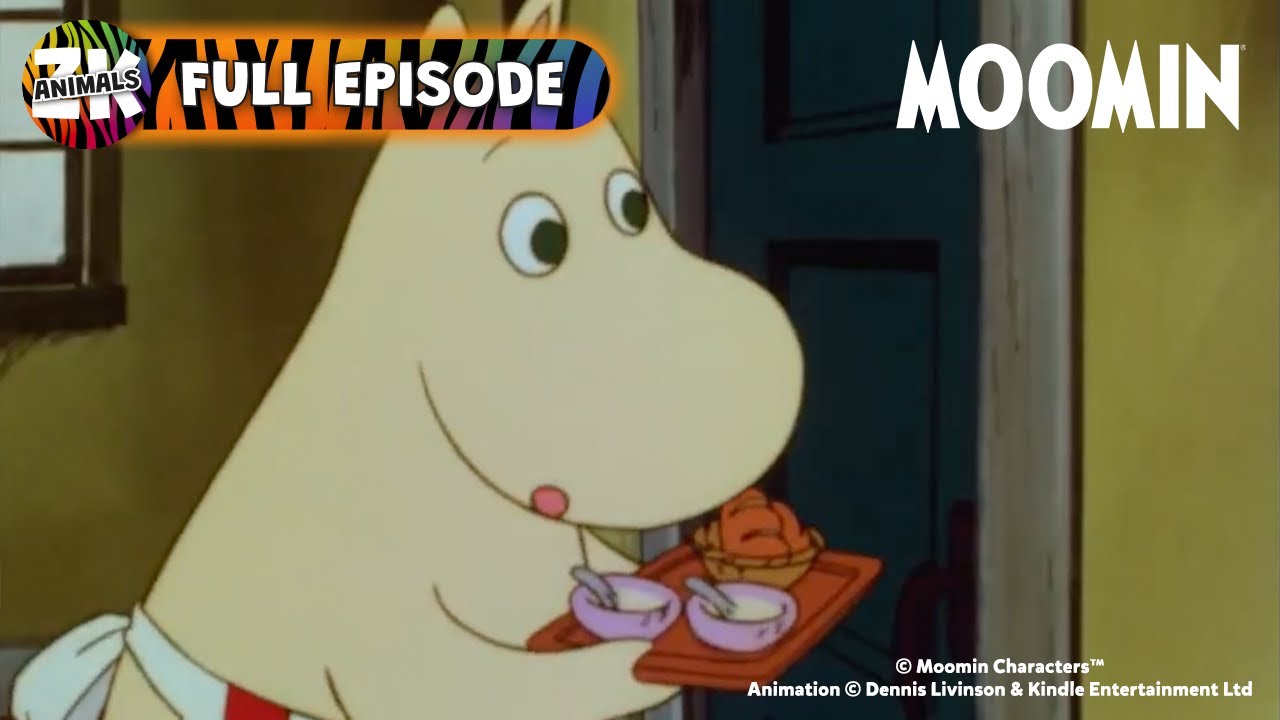 Moomin 90s | Episode 7 | The Suitcase - YouTube