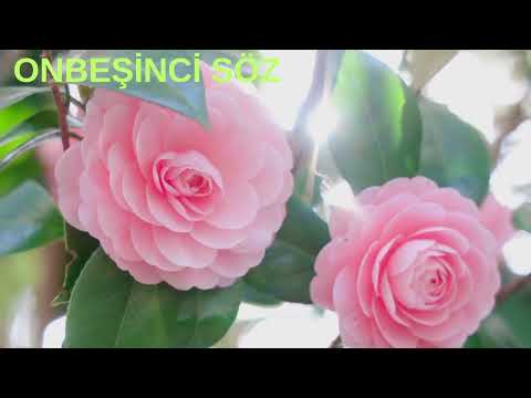 ONBEŞİNCİ SÖZ