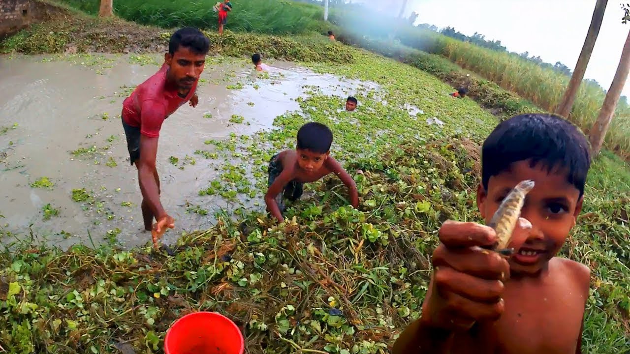 Amazing Asian Village Life Traditional Village Fishing Catch Fish From ...