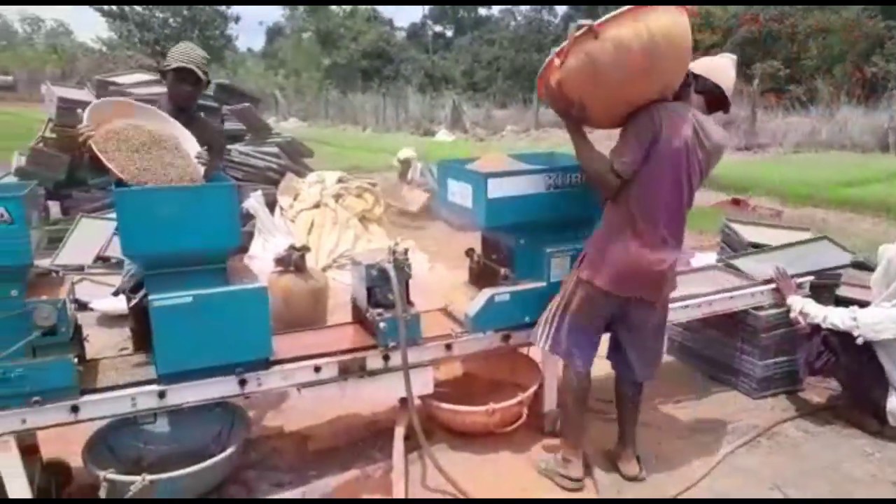 Kubota Automatic Seeding Machine for pouring Paddy seeds in trays - YouTube