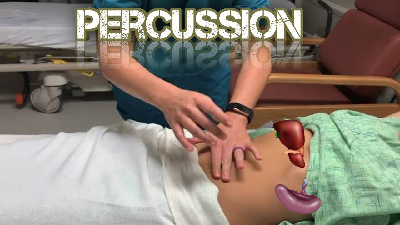 شرح abdominal examination | percussion - YouTube