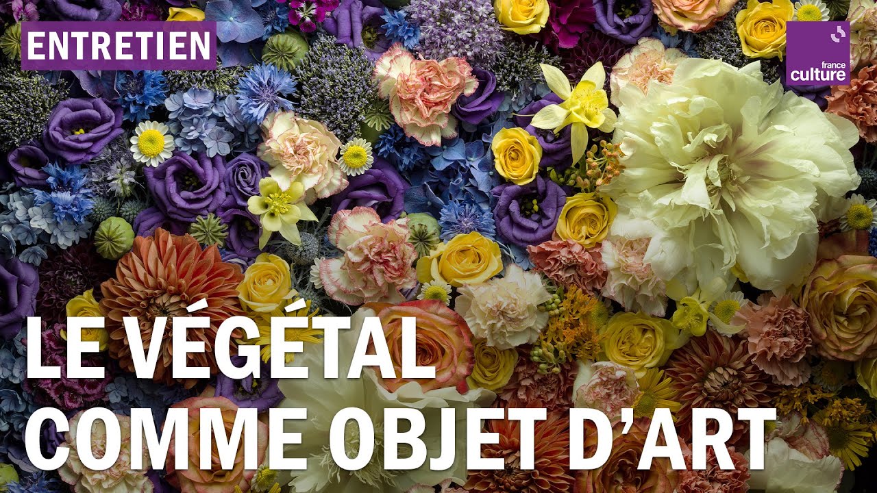 Le végétal peut-il devenir une œuvre d'art ? - YouTube