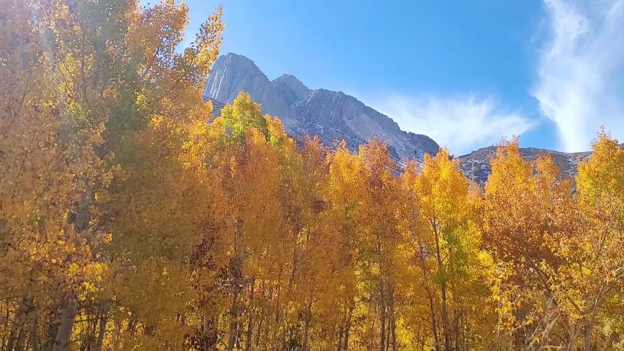 Stunning display of fall colors at Convict Lake in the Eastern Sierra ...