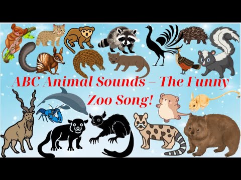 ABC Animal Sounds – The Funny Zoo Song|ABC Alphabet Song Animal Sounds ...