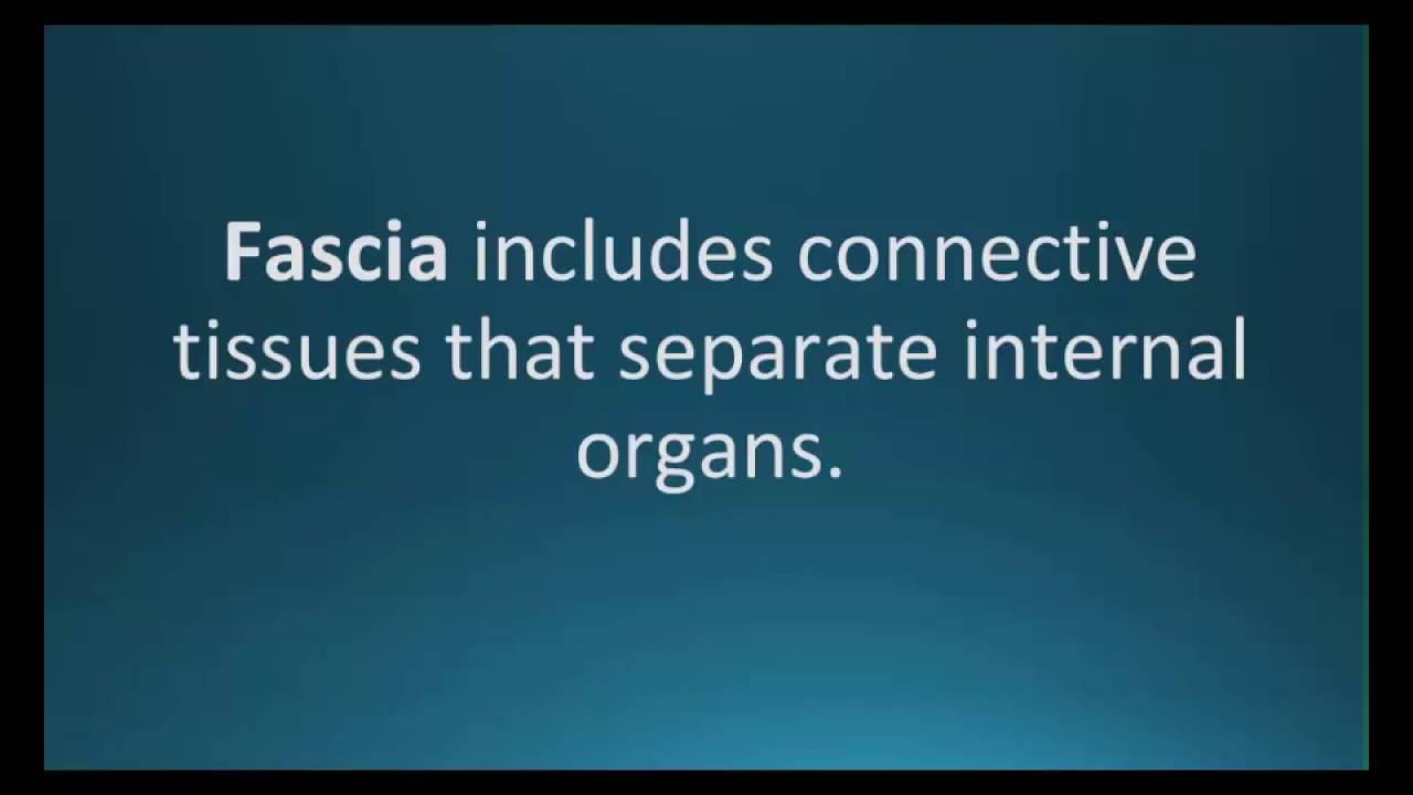 How to pronounce fascia (Pharmcabulary for Memorizing Pharmacology ...