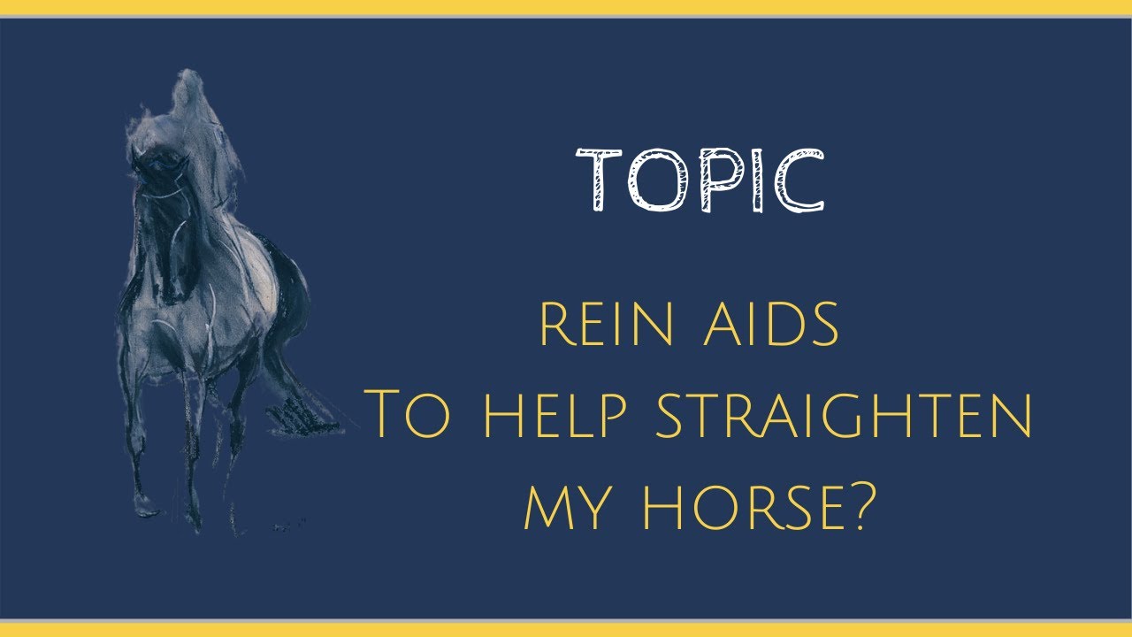 Rein Aids to Help Straighten My Horse - YouTube