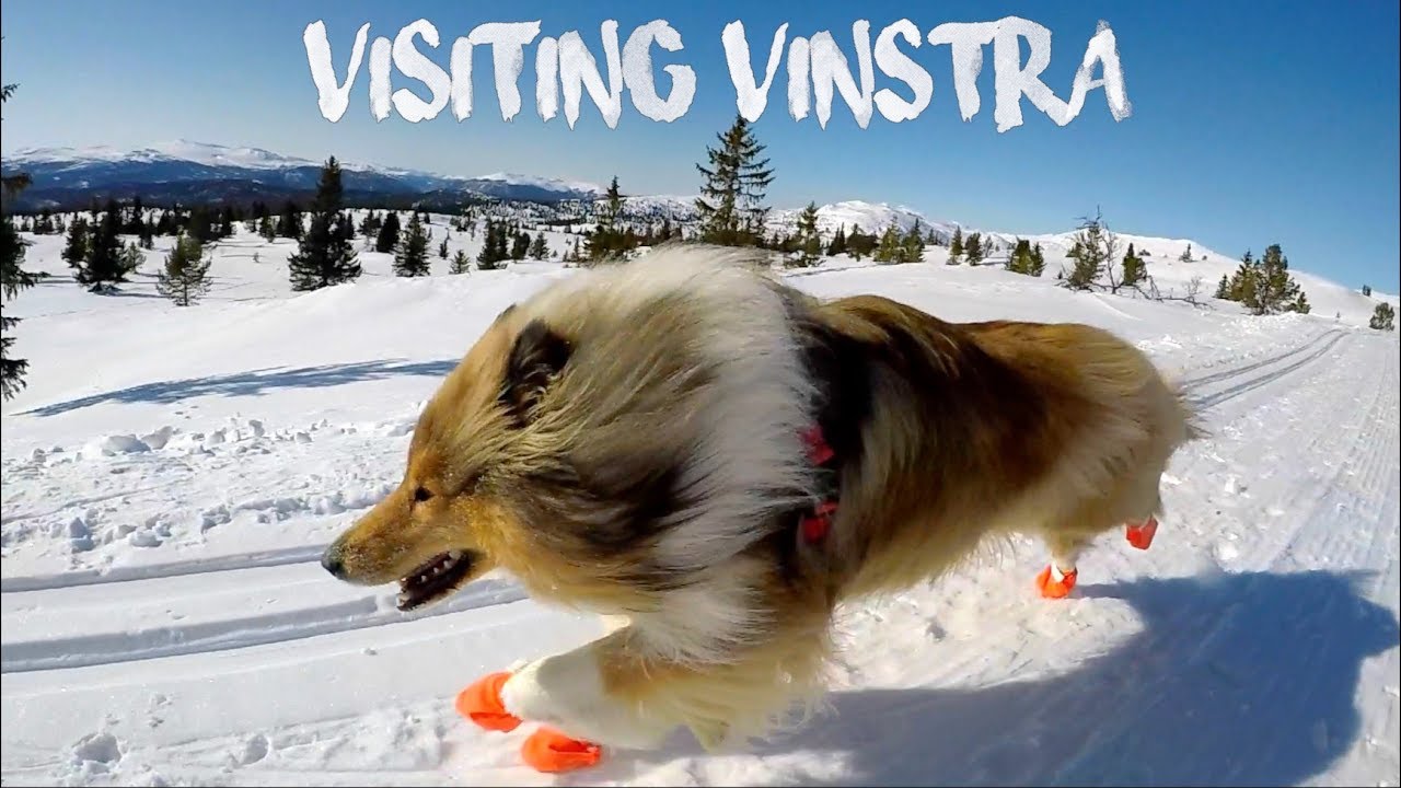 One minute in Vinstra - Norway - YouTube