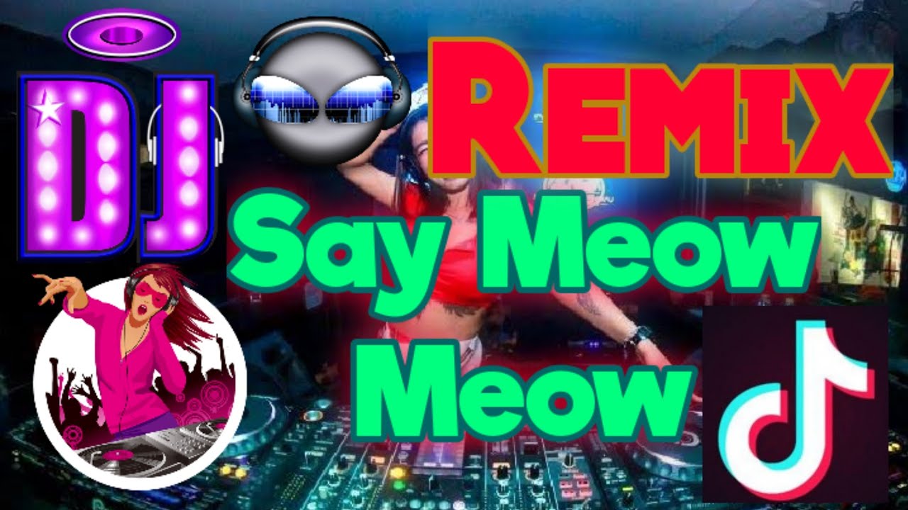 Say Meow Meow - DJ Remix Full Bass,Learn To Meow Meow.. - YouTube