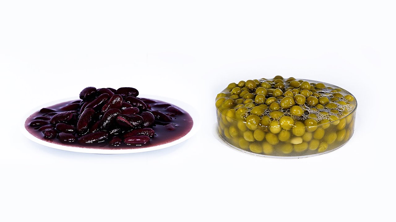 Peas vs Beans Rotting Timelapse Comparison - YouTube