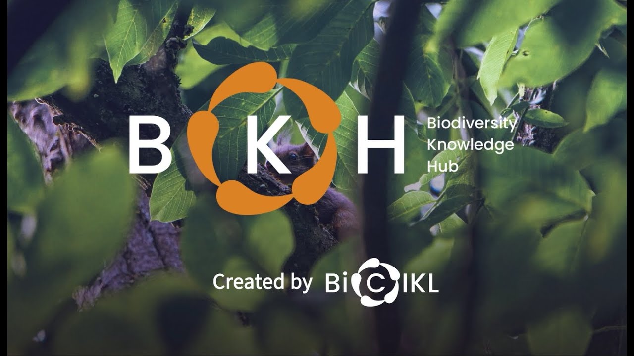 Biodiversity Knowledge Hub (BKH) - YouTube