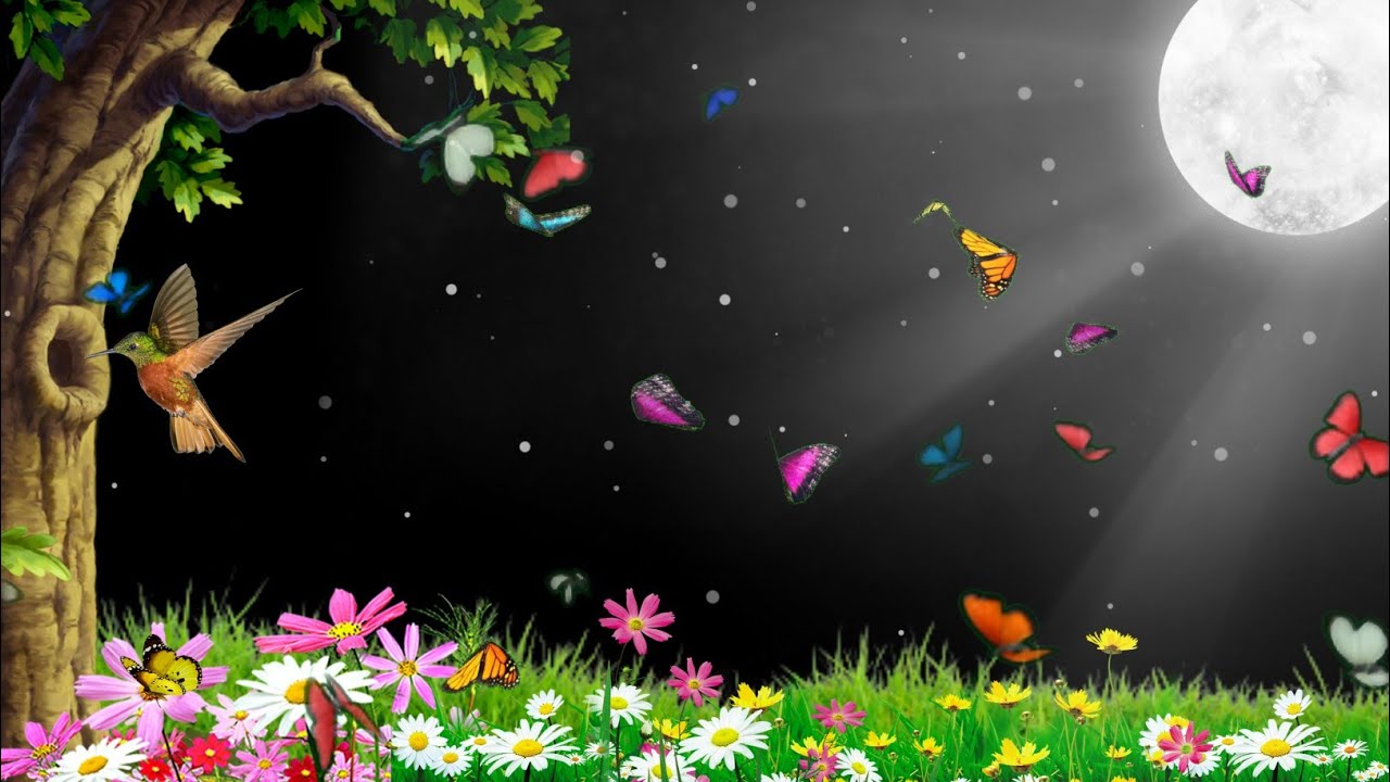 Grass flower black screen background | butterflies flying black screen ...