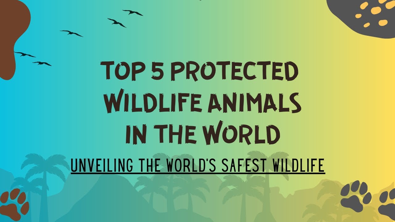 Discover the TOP 5 Protected Wildlife Animals in the World! 🌍|| Witness ...