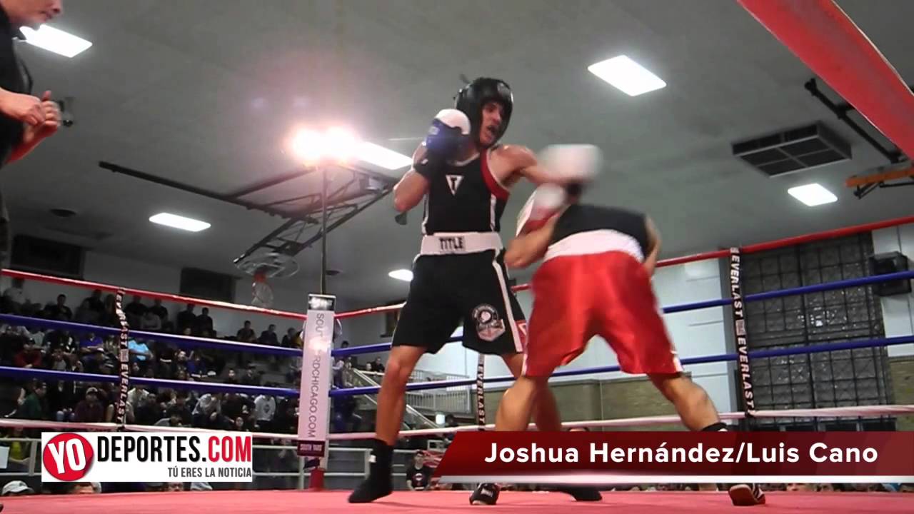 Joshua Hernandez vs. Luis Cano Chicago Golden Gloves 2015 - YouTube