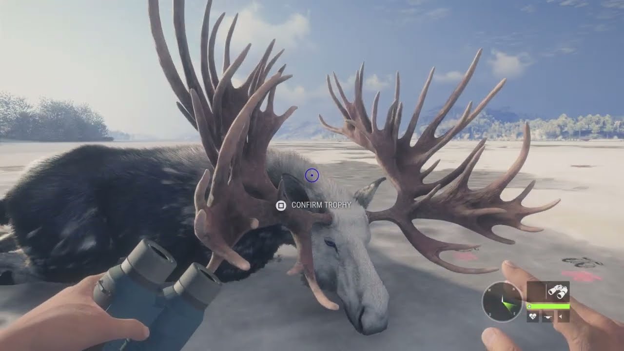 Call of the wild Great One Moose #3 w/ Curman Muzzleloader - YouTube