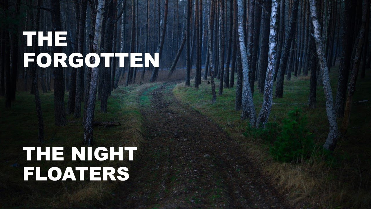 The Forgotten: The Night Floaters Mythos (Cryptid, Coven or Cult?, The ...