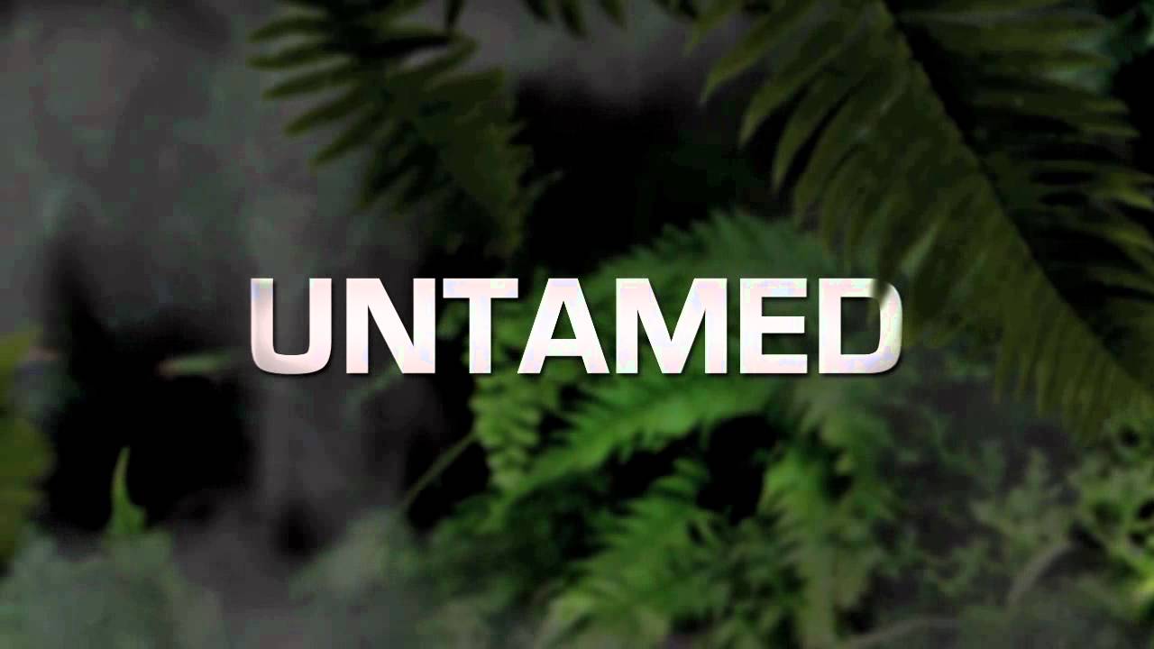 Everett Raptors - YouTube