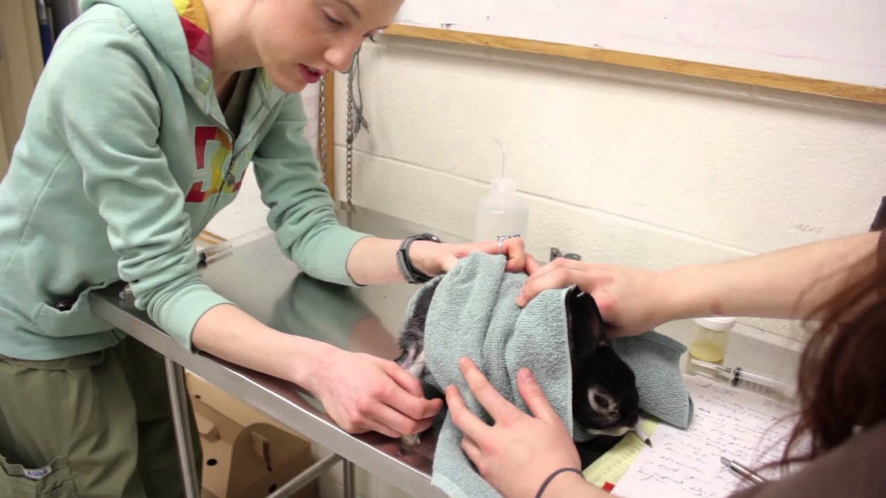 Believe It Presentation for the OAVT conference - YouTube