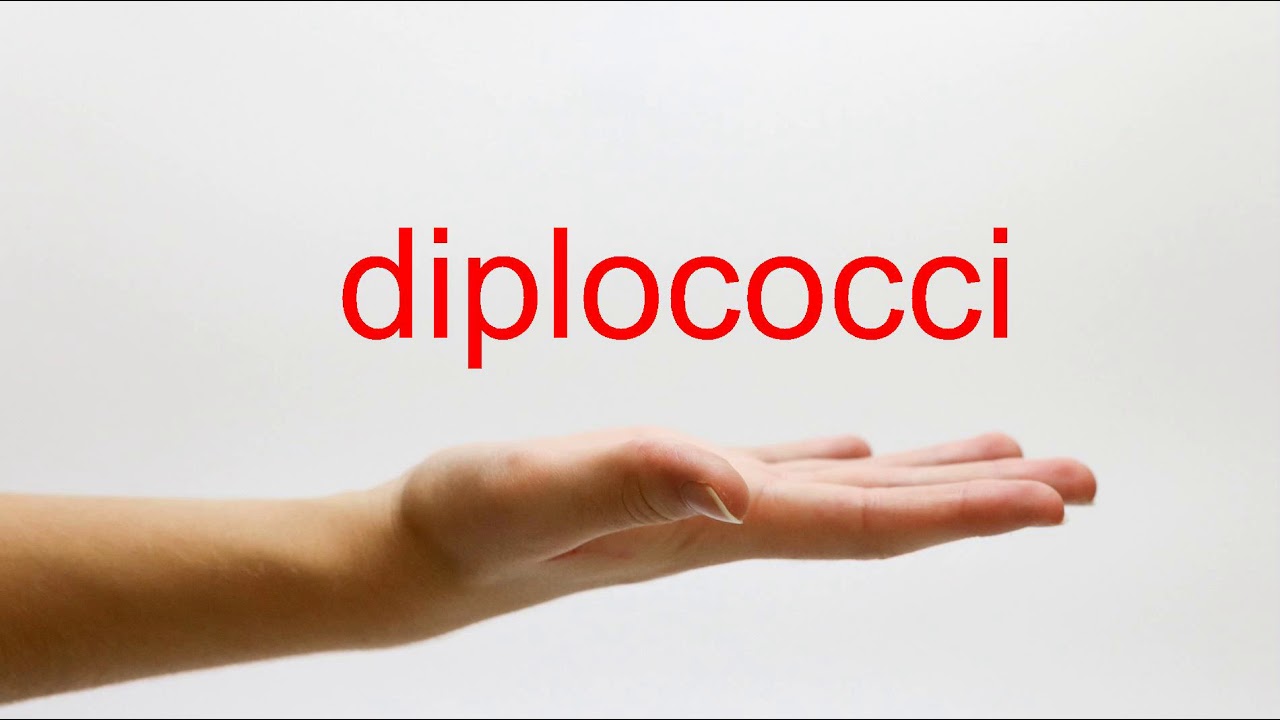 How to Pronounce diplococci - American English - YouTube