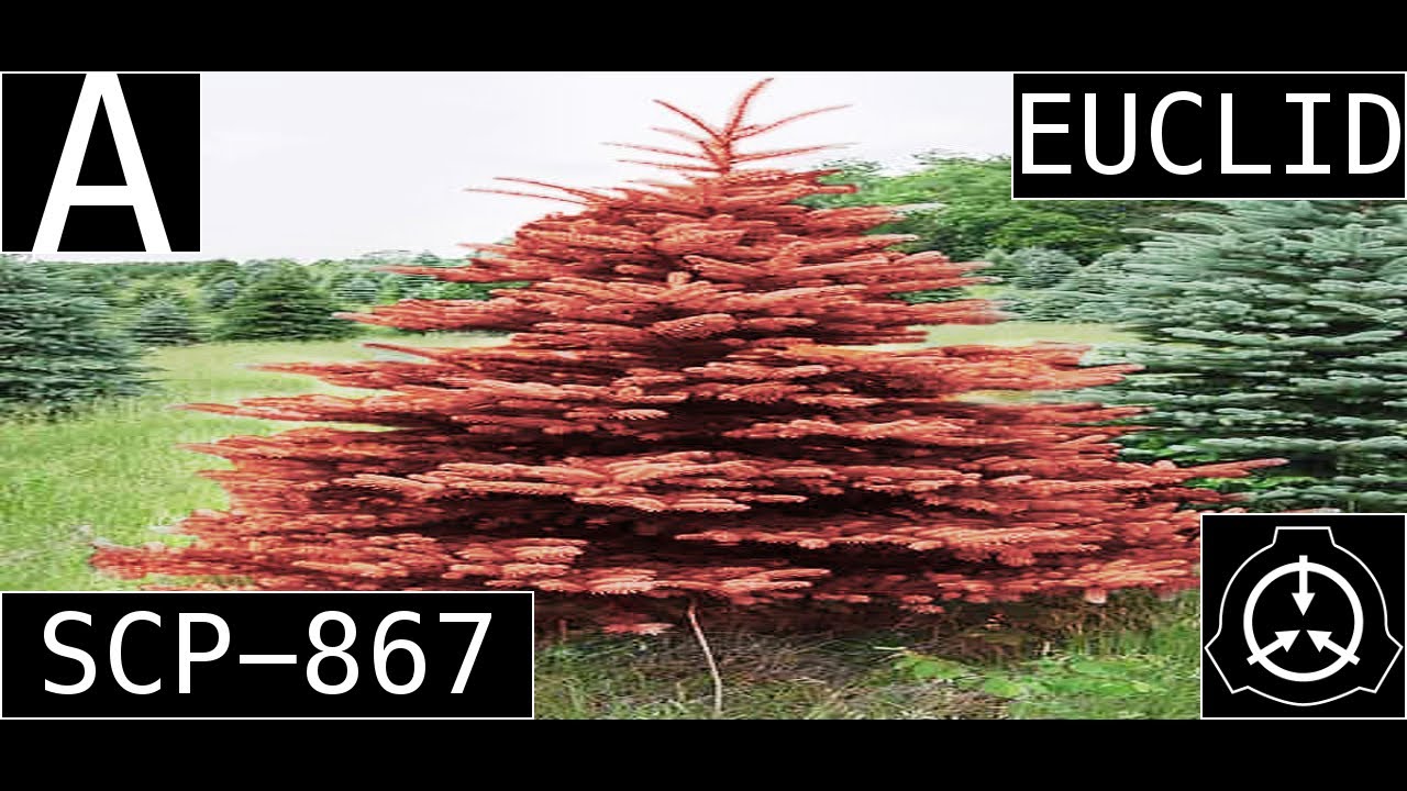 SCP-867 "Blood Spruce" [SCP Wikidot] - YouTube