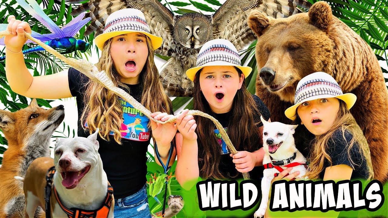 Animal Adventures! Learn About Animals w/ The Wild Adventure Girls ...