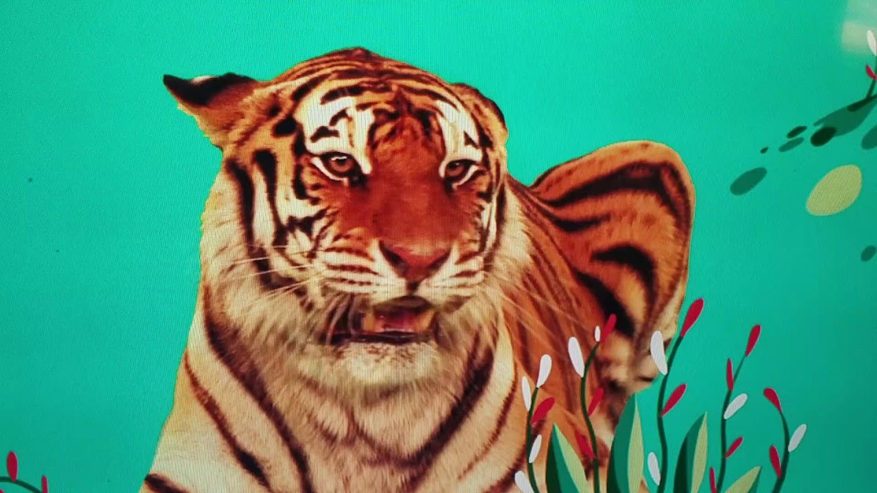Storybots - Tiger Song - YouTube
