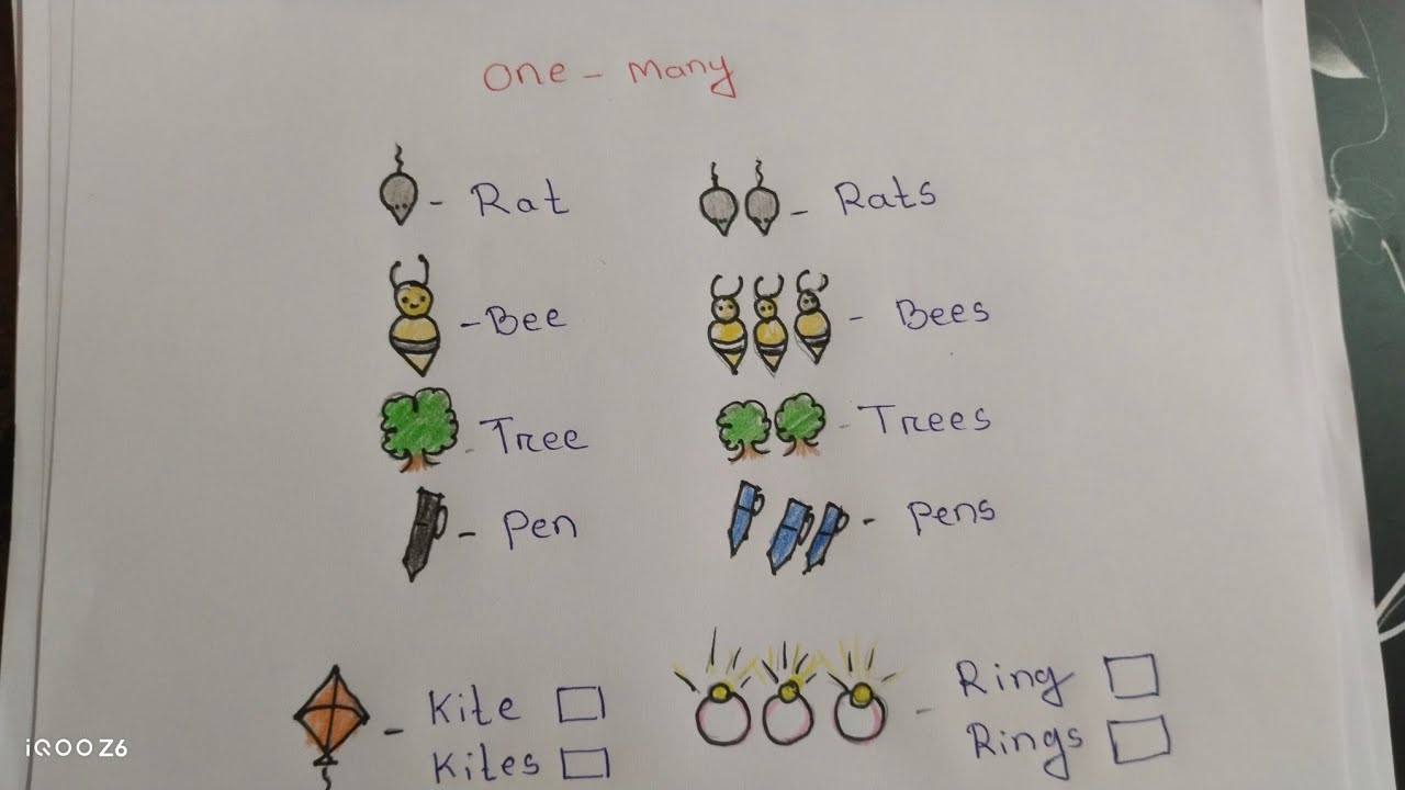 One and Many (Ukg English worksheet) - YouTube