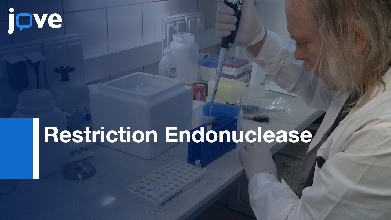 In Vitro Directed Restriction Endonuclease Evolution | Protocol Preview ...