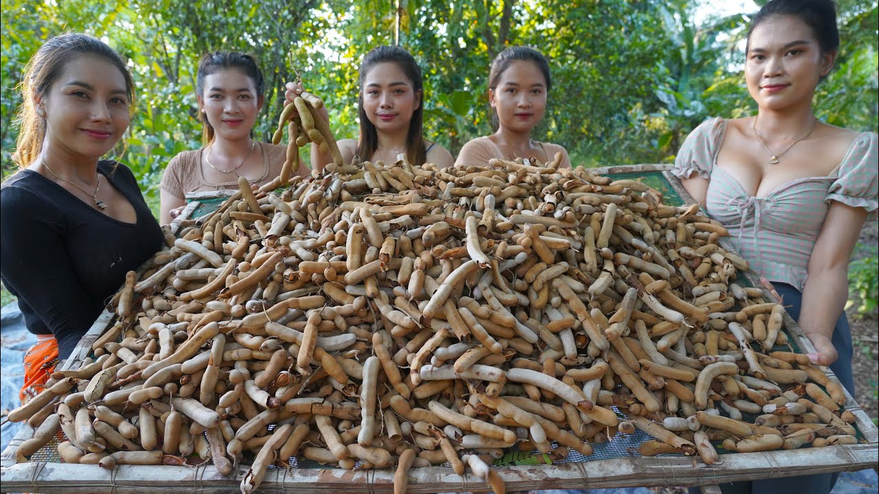Fresh Tamarind fruit in my countryside and eat delicious - Amazing ...