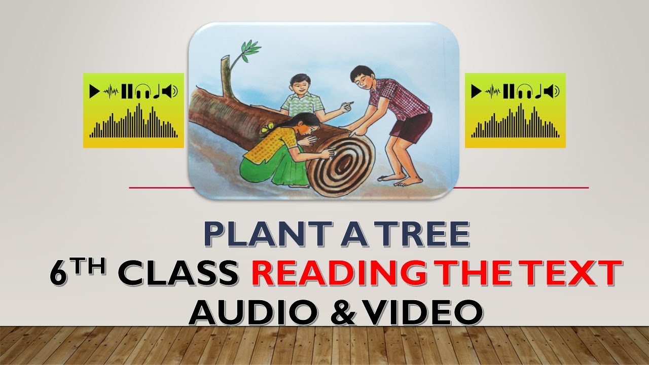 Plant a tree 6th Class English Reading text lesson - YouTube