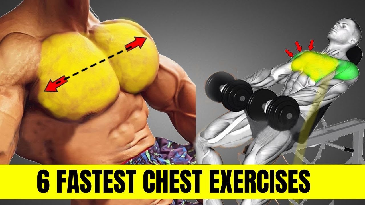 6 Exercises Build A Perfect Chest Fast | 6 Best Chest Exercises ...
