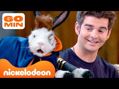 De grappigste momenten van Dr. Colosso in De Thundermans: Undercover 🐇 | Nickelodeon Nederlands
