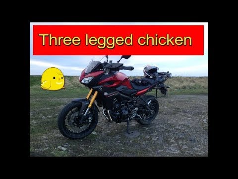 3 Legged Chicken - YouTube