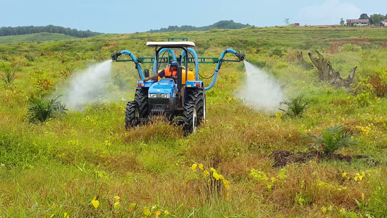 Hama Orycthes di TBM Kelapa Sawit ??? Semprot Mekanisasi Kumbang Tanduk ...