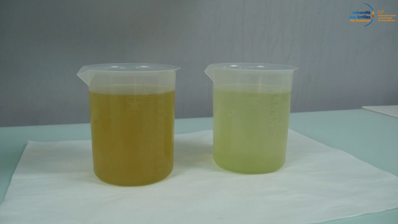 Extraction de biomolécules par ultrasons - YouTube