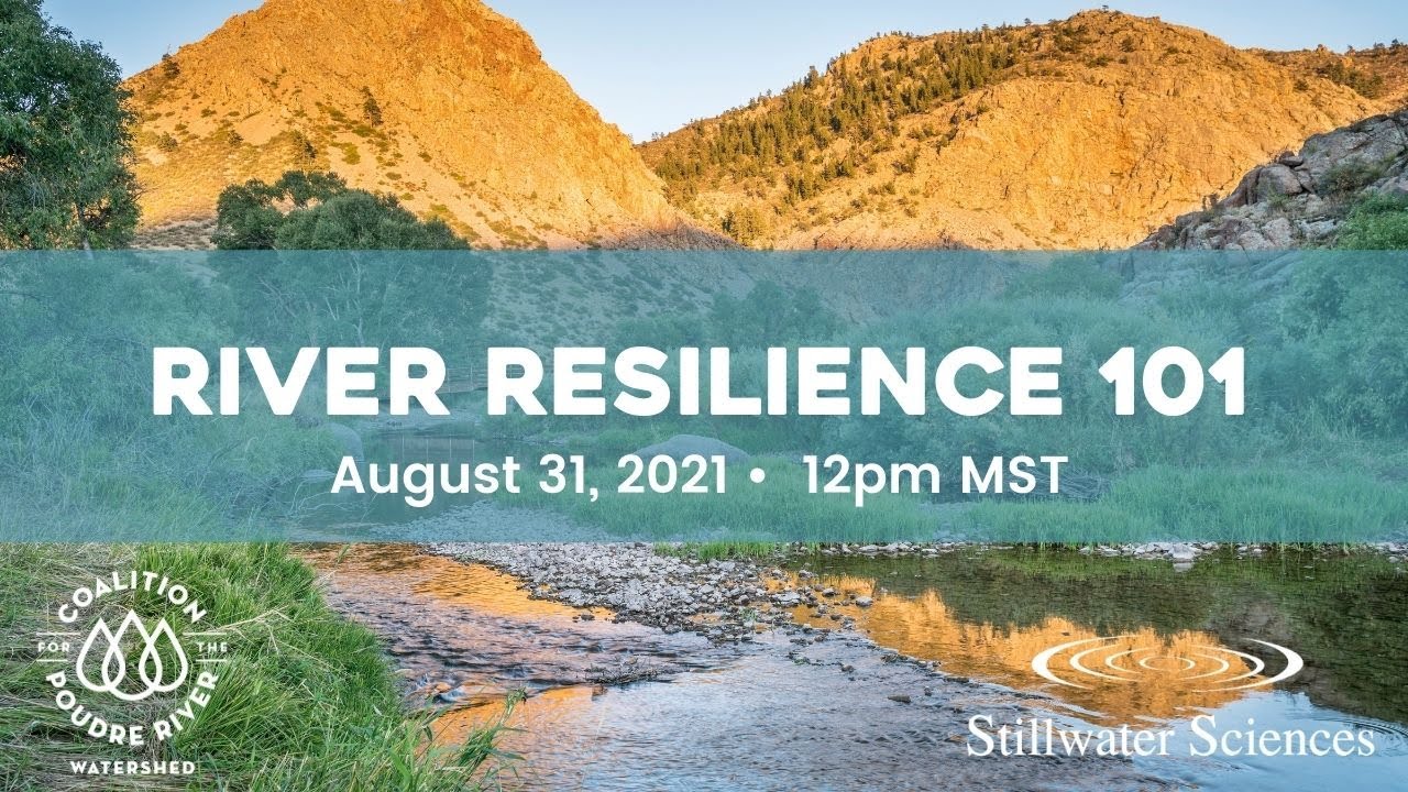 Webinar: River Resilience 101 - YouTube