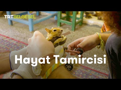 Hayat Tamircisi | TRT Belgesel