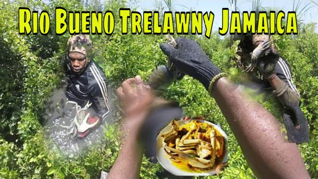 Rio Bueno Jamaica Family Trip Adventure catch and Cook fishing in ...