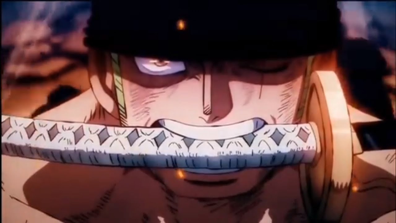 EXTRAIT DU COMBAT DE L'ANNÉE ENTRE KING ET ZORO ! L'ANIMATION ET OUF ...