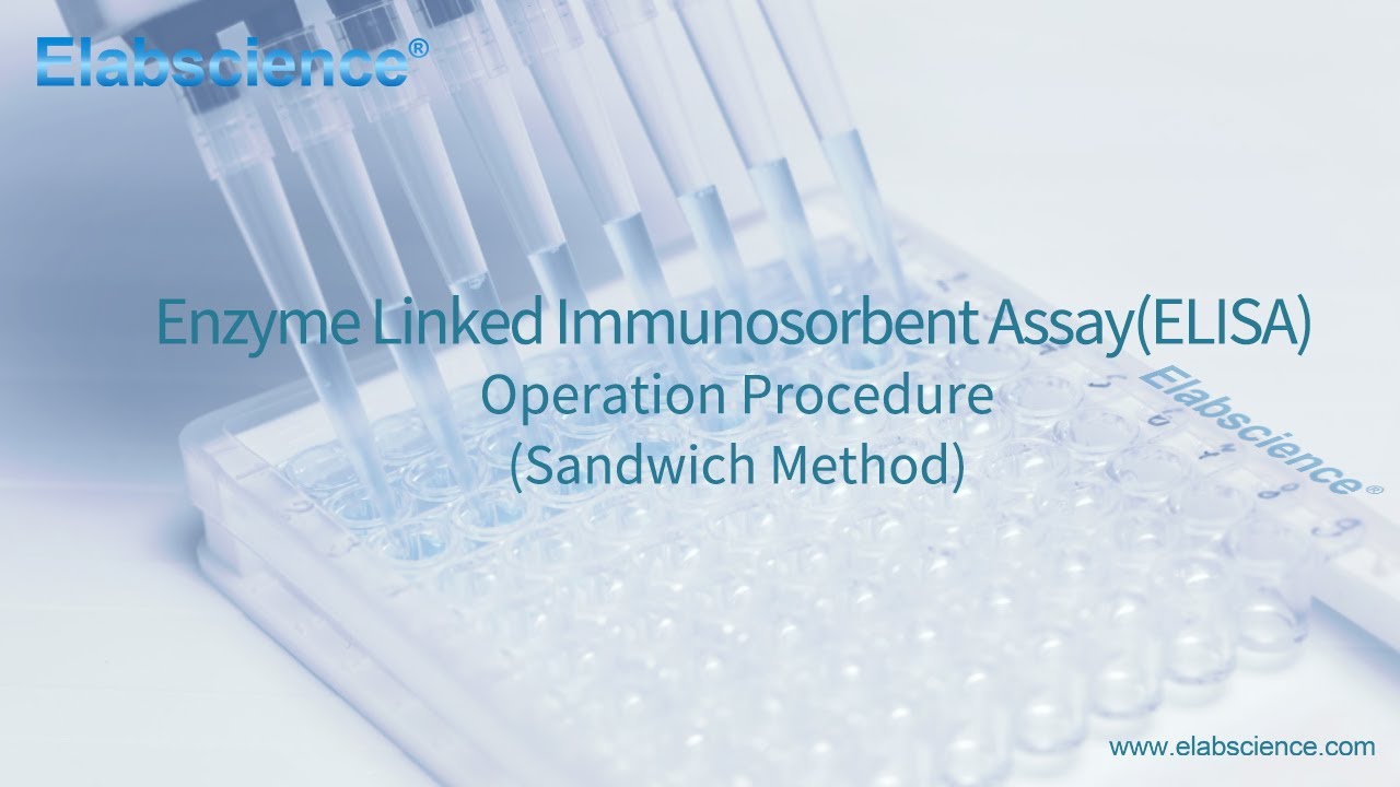 [Updated – See New Video] Enzyme Linked Immunosorbent Assay (ELISA ...