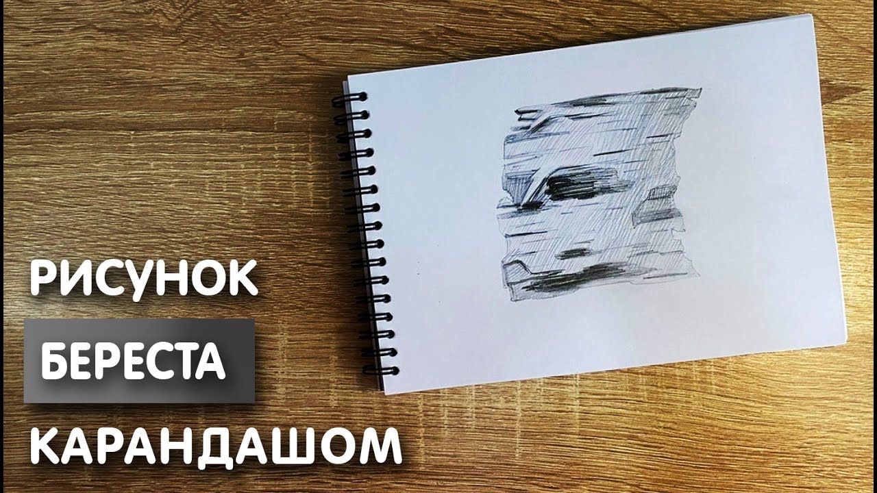 Как нарисовать бересту карандашом Рисунок для начинающих поэтапно