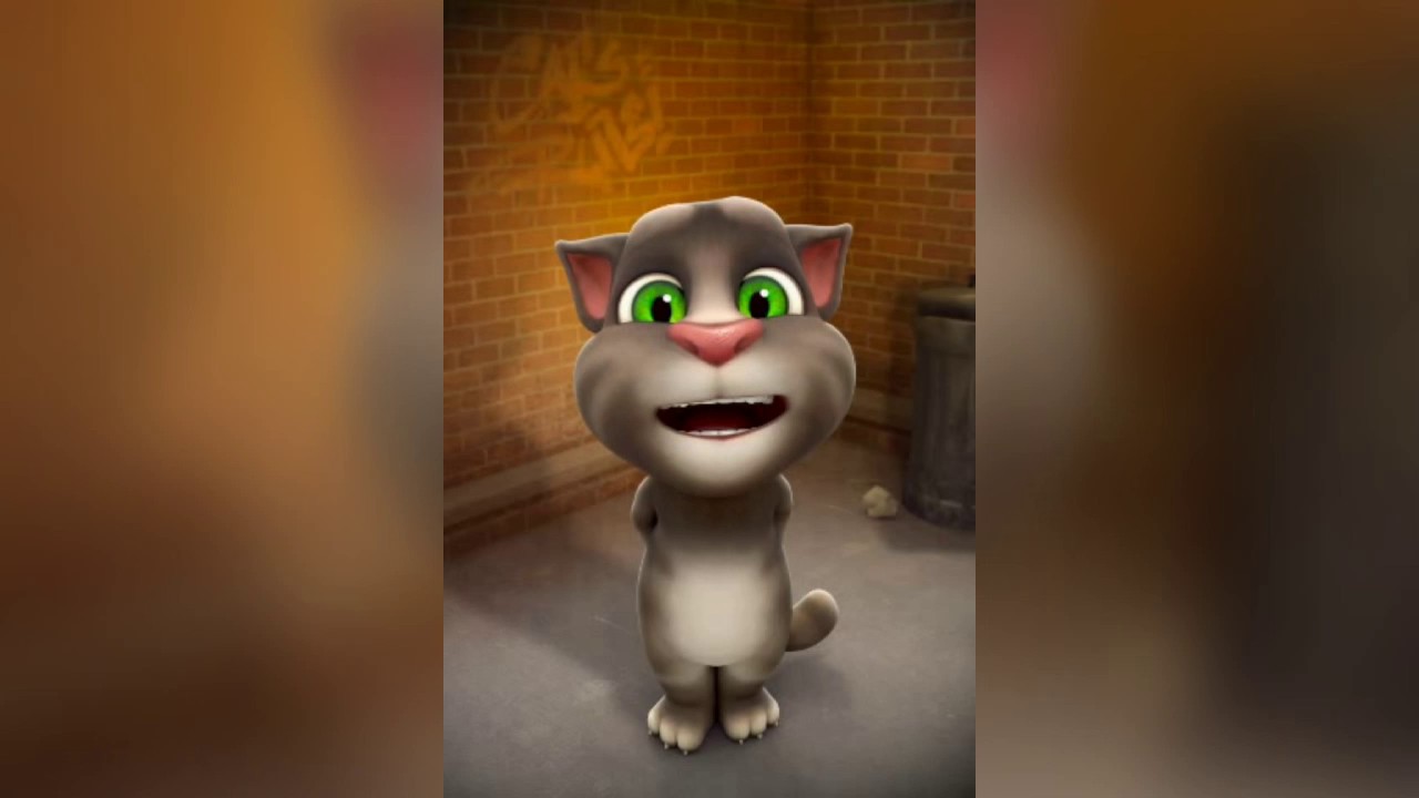 Panjabi gandy latefy funny taking tom - YouTube